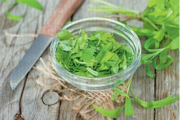 Des recettes naturelles avec l'estragon - Rebelle-Santé