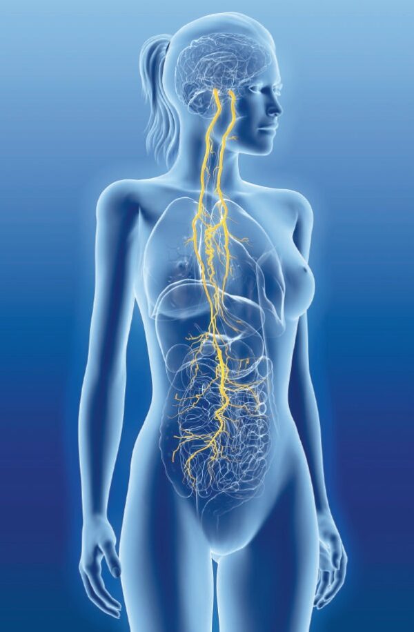 La cohérence cardiaque pour stimuler votre nerf vague - Rebelle Santé