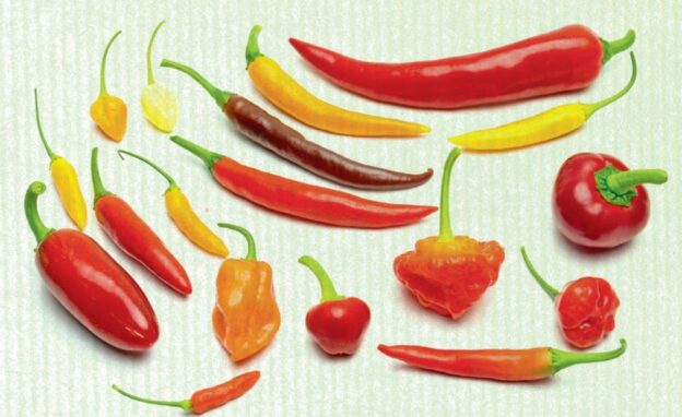 Des recettes naturelles avec les piments - Rebelle-Santé